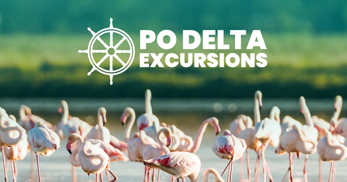 Po Delta Excursions, your excursions in the Po Delta